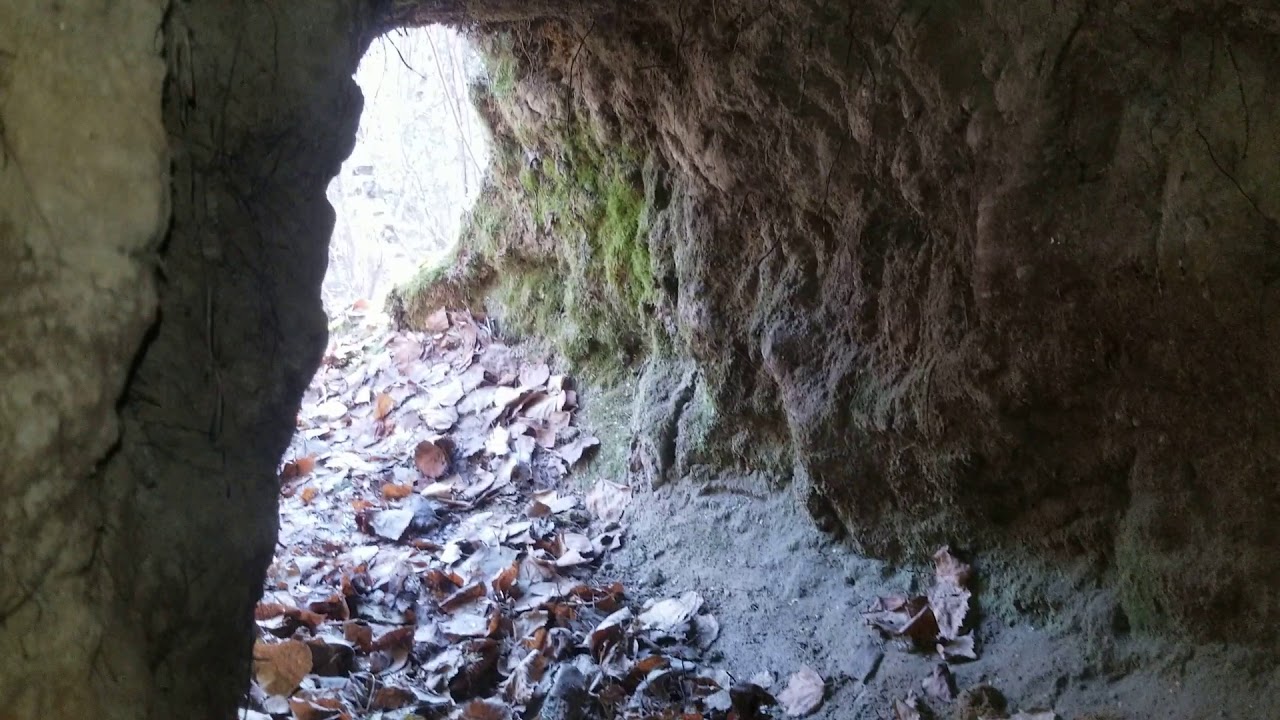 Inside a Grizzly Bear Den in Alaska - YouTube