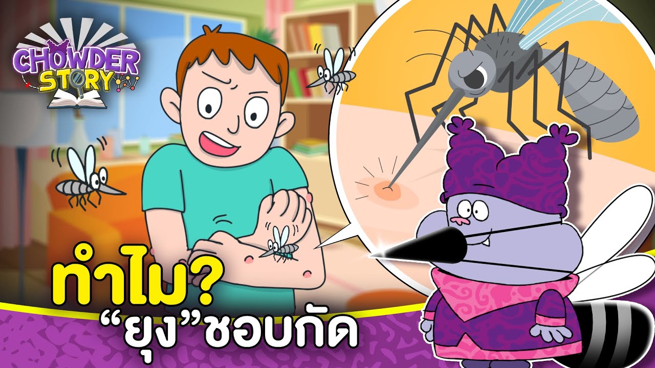 ทำไมยุงชอบกัด!? | Chowder Story [EP.34] - YouTube