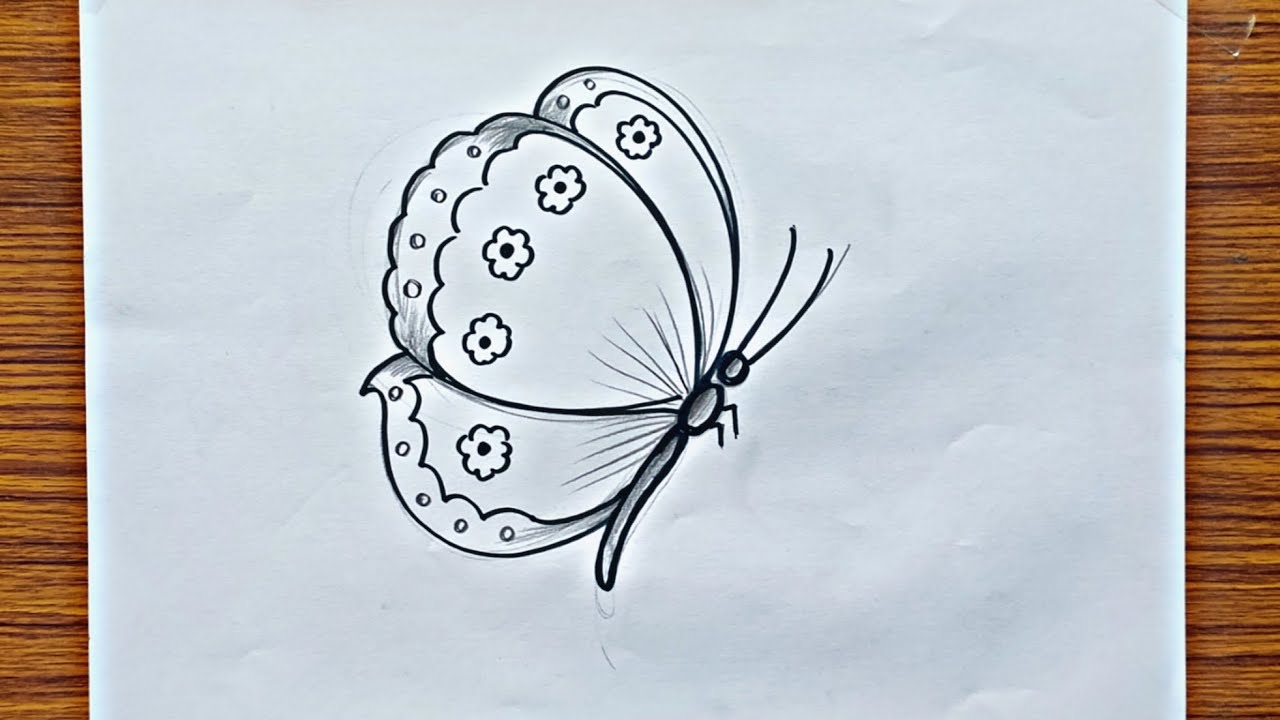 butterfly drawing easy step by step, how to draw a butterfly 🦋 ...