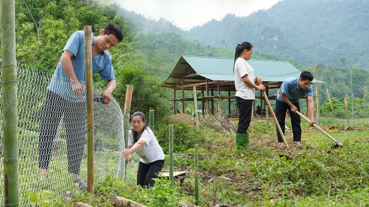 Building a Family Farm: From Start to Finish, Surprise for Parents ...