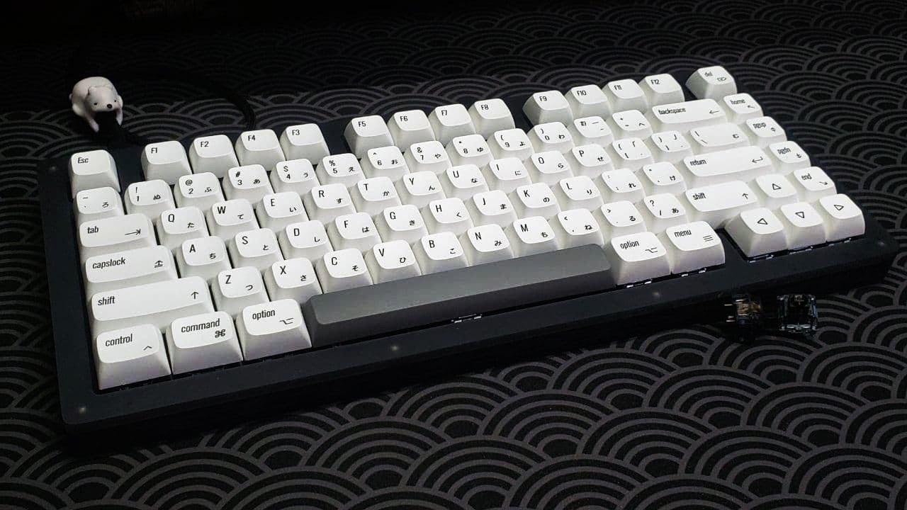 Akko ACR 75/81 | Akko Jelly Black | Typing Test - YouTube