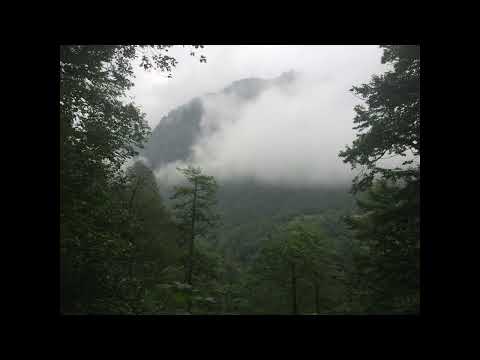 Mevsim Sonbahar Instrumental (Slowed+Reverb)