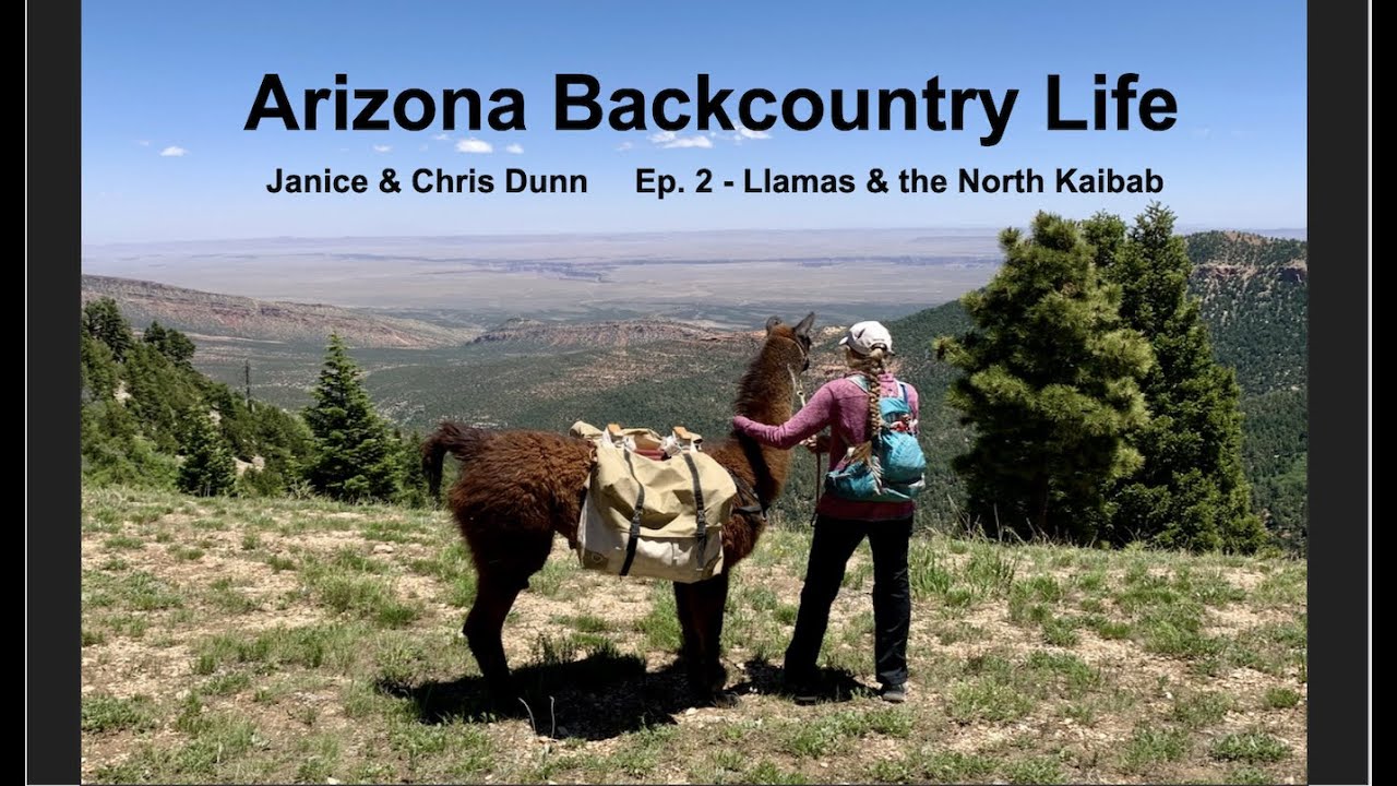 Arizona Backcountry Life: Ep. 2 - Llamas & the North Kaibab - YouTube