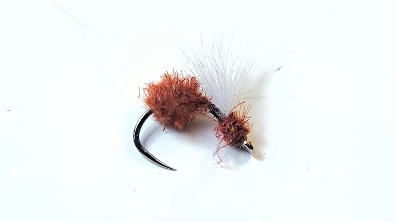 CDC Ant Dry Fly. #flytying #flyfishing #dryfly #antfly #troutflies # ...