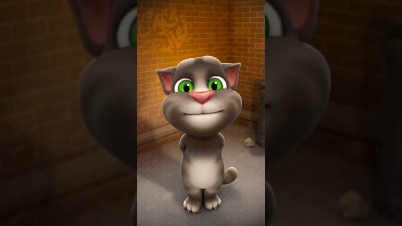 talking Tom funny comedy video short viral#shorts - YouTube