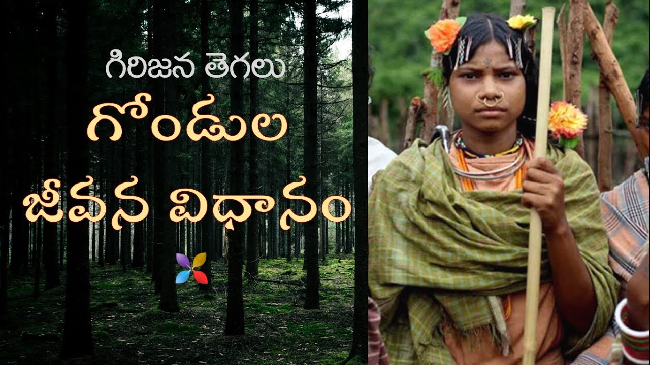 GOND TRIBE || GONDULU || గోండులు || గిరిజన తెగలు || గోండుల జీవన విధానం ...