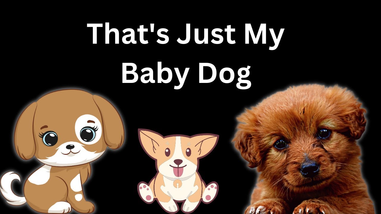 That's Just My Baby Dog (Doge) - YouTube