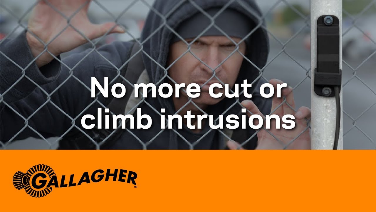 Z20 | Perimeter disturbance sensor - YouTube