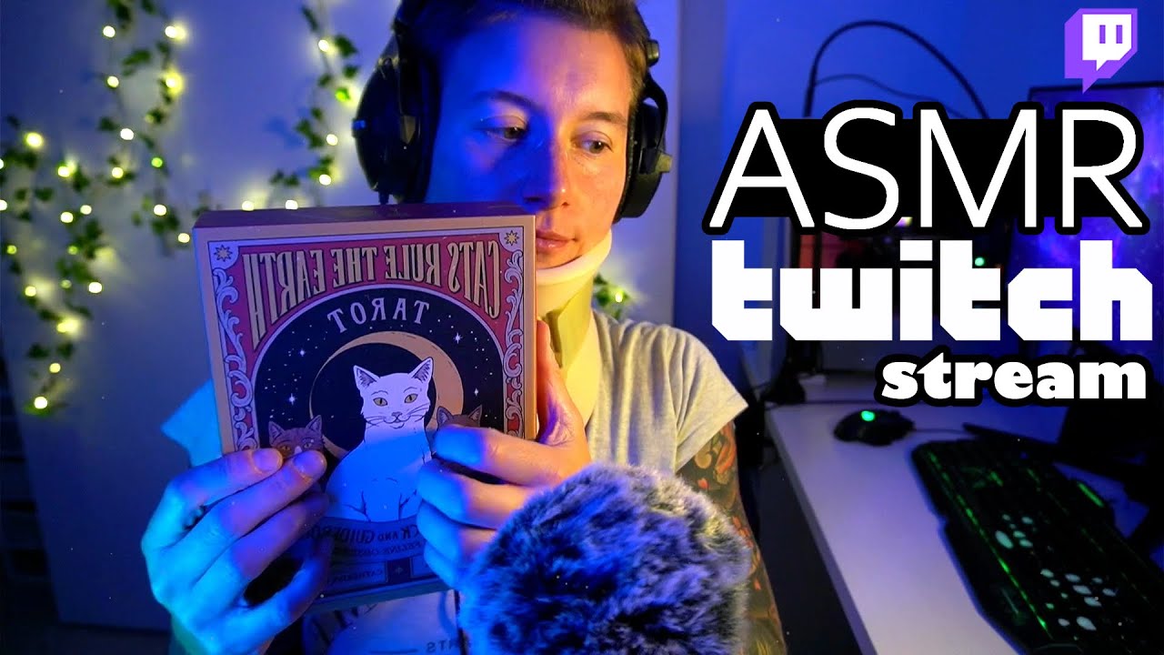 ASMR Twitch Stream (#2): whispering, brushing, cat tarot & more - YouTube