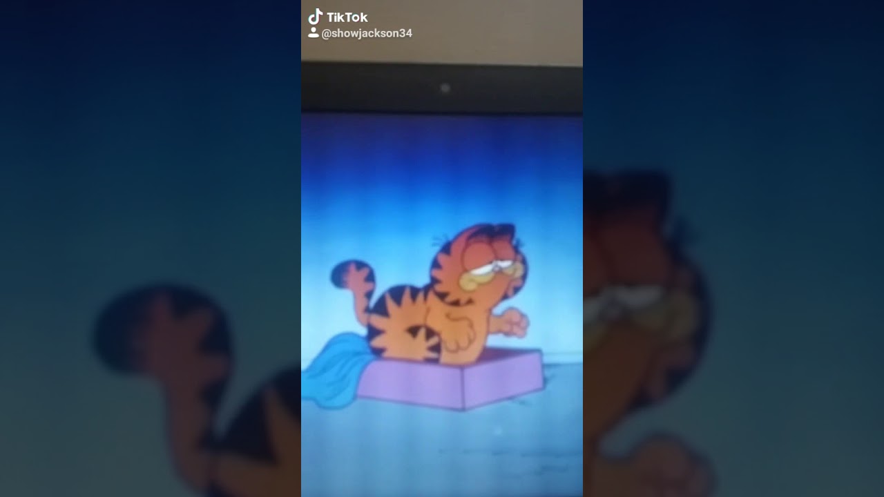 Garfield:Garfield is coming song - YouTube
