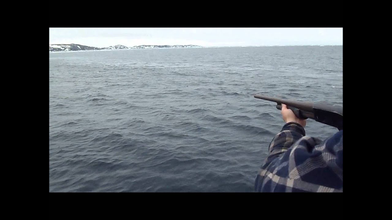 Turr Hunting.wmv - YouTube