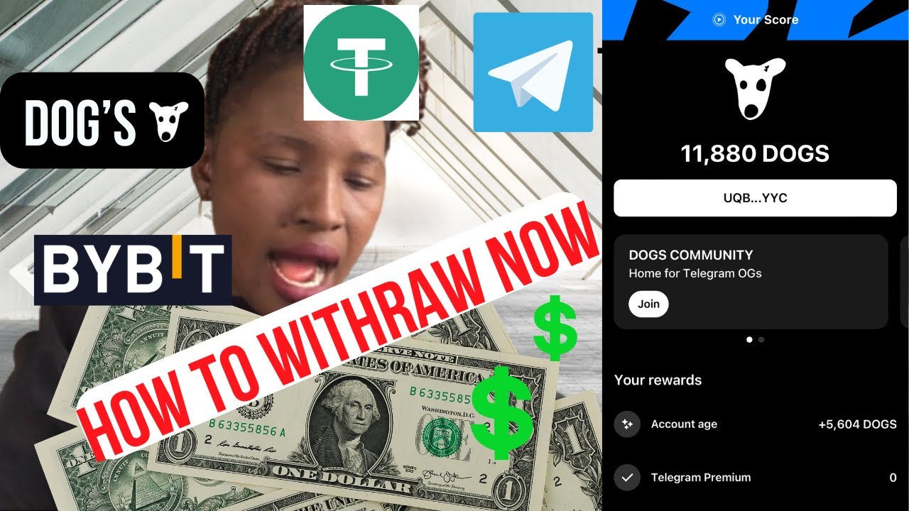 How To Withdraw TELEGRAM DOGS To Bybit Account step-by-step tutorial ...