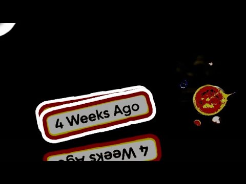 4 Weeks Ago - YouTube