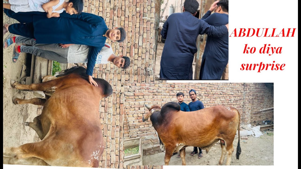 ABDULLAH got Surprised. | EID-2023 - YouTube