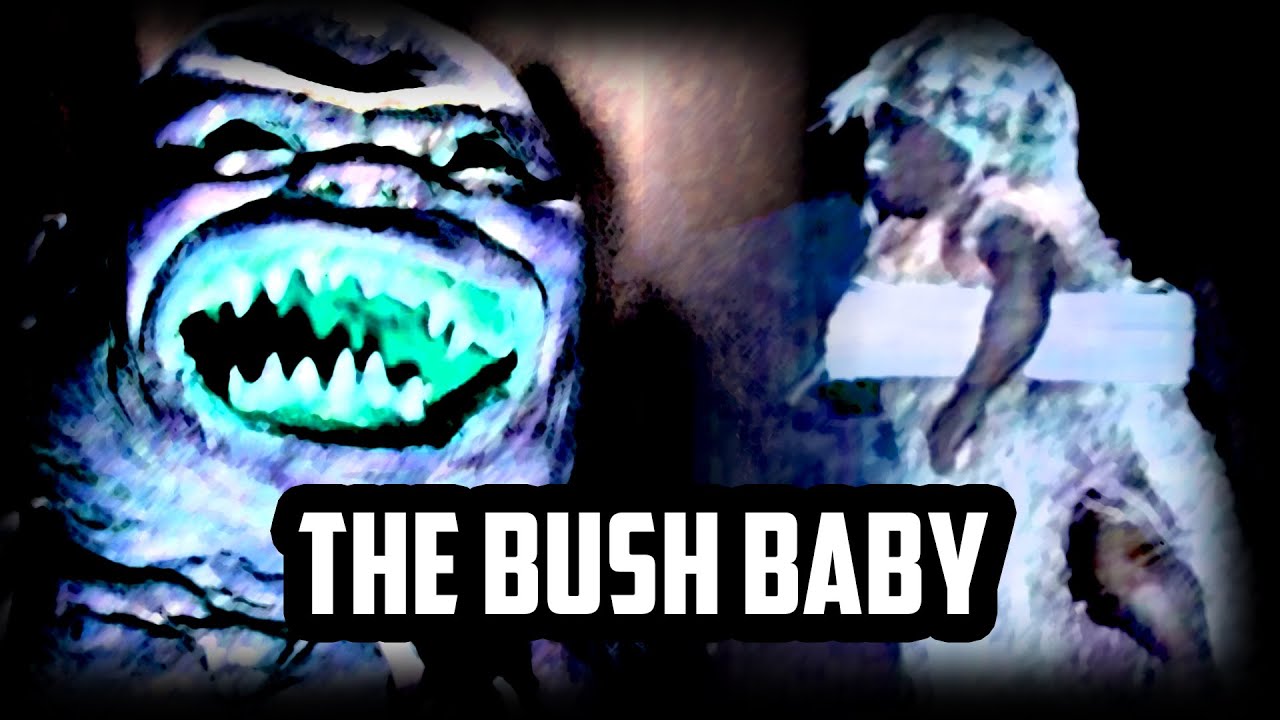 The BUSH BABY | Nigerian Urban Legend - YouTube