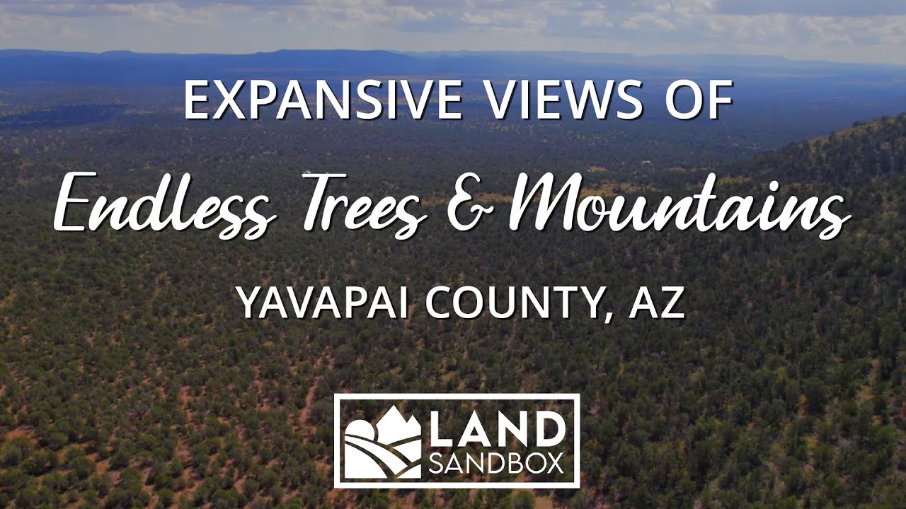 Beautiful Lot Filled with Trees and Views by State Land from ...