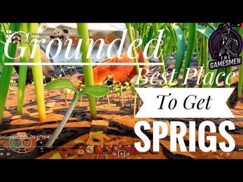 Grounded Best Place To Get Sprigs - YouTube