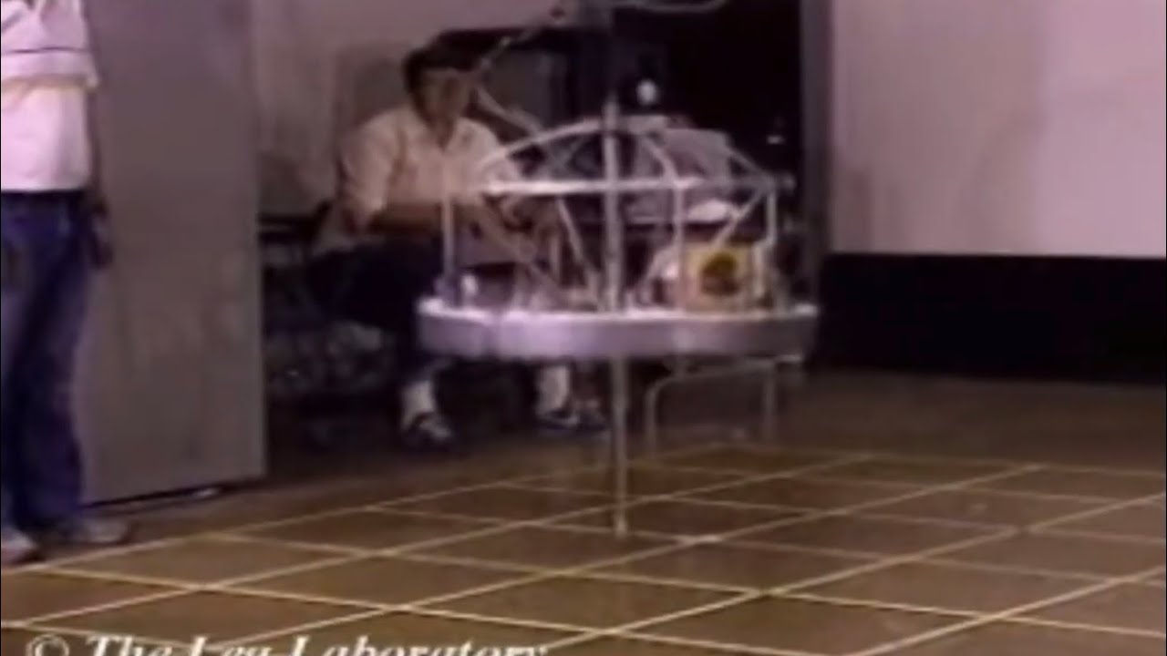 Boston Dynamics’ first robot - YouTube