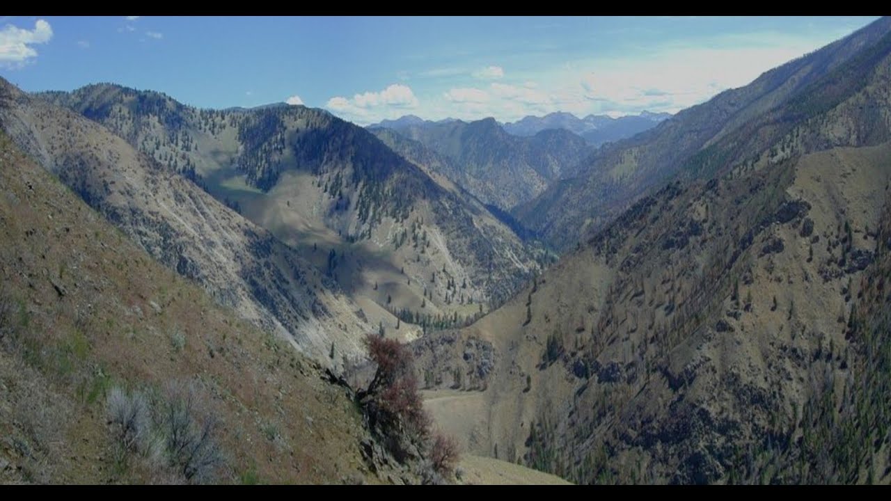 A Wildlife Biologist’s Adventures in the Frank Church-River of No ...