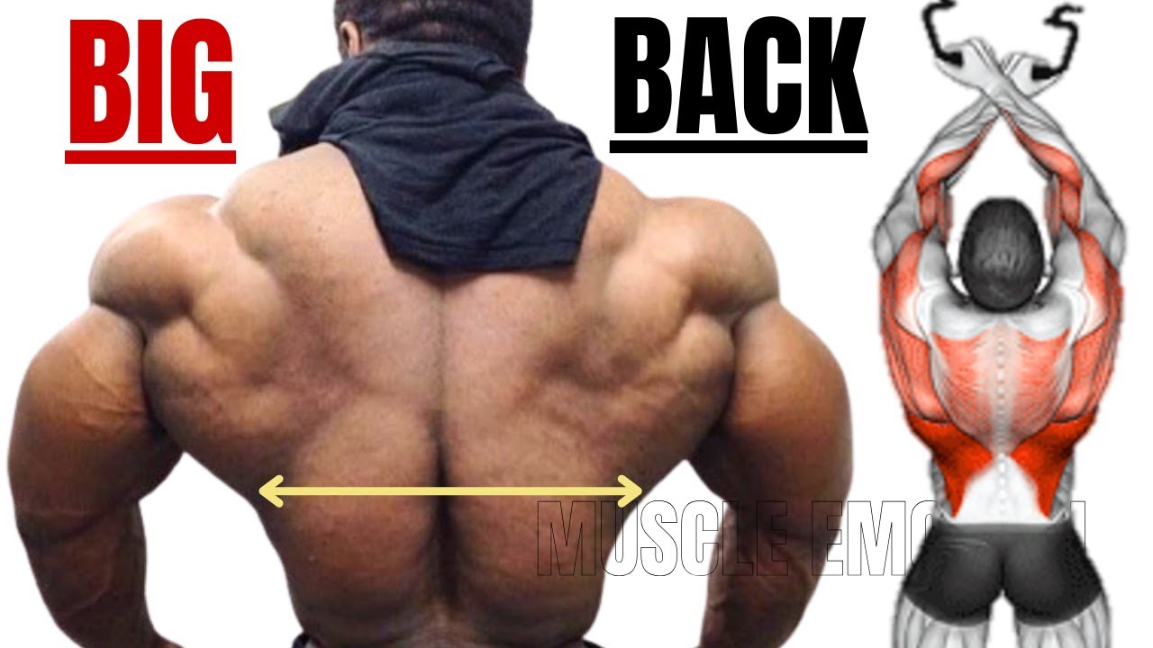 5 BEST BACK WORKOUT AT GYM / LES MEILLEURS EXERCISES MUSCULATION DU DOS ...