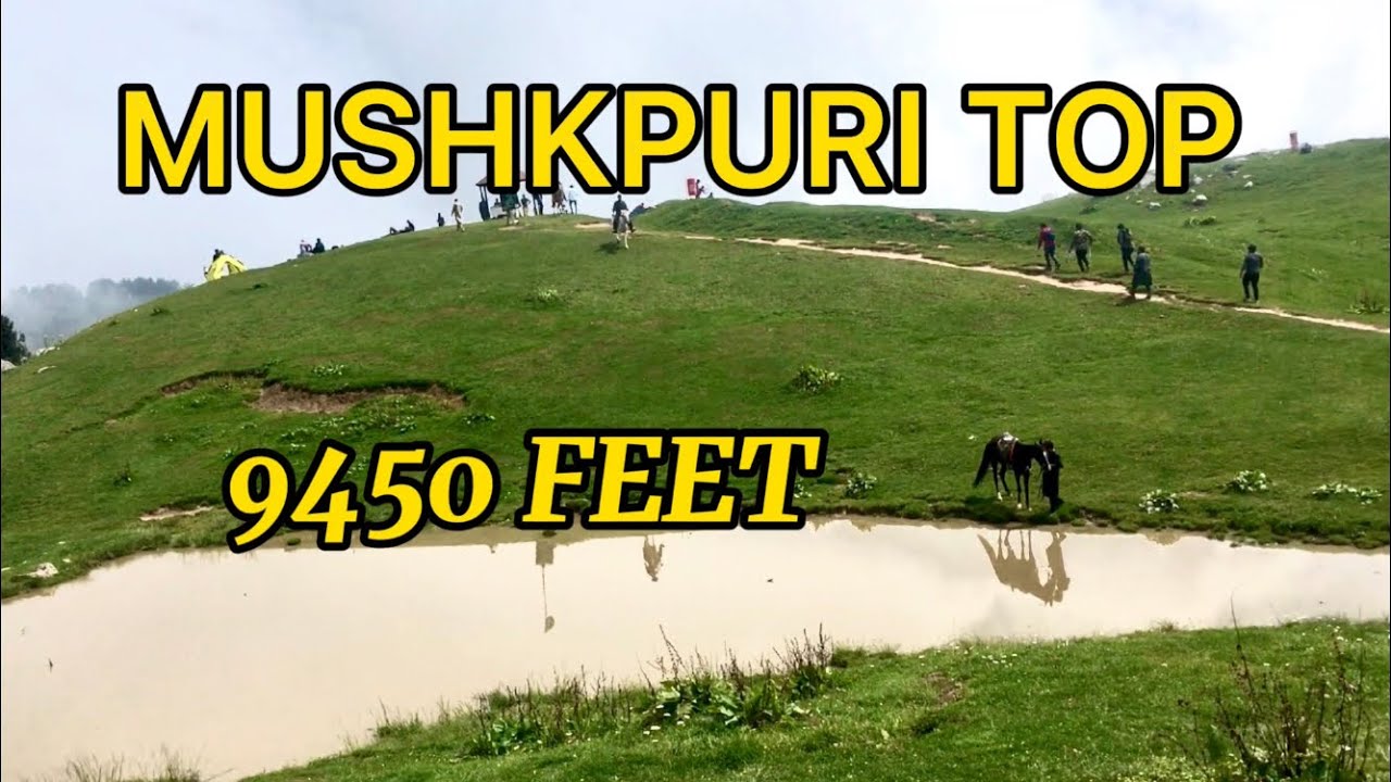 Mushkpuri Top Nathiagali | Mushkpuri Peak | Most Beautiful Place in the ...