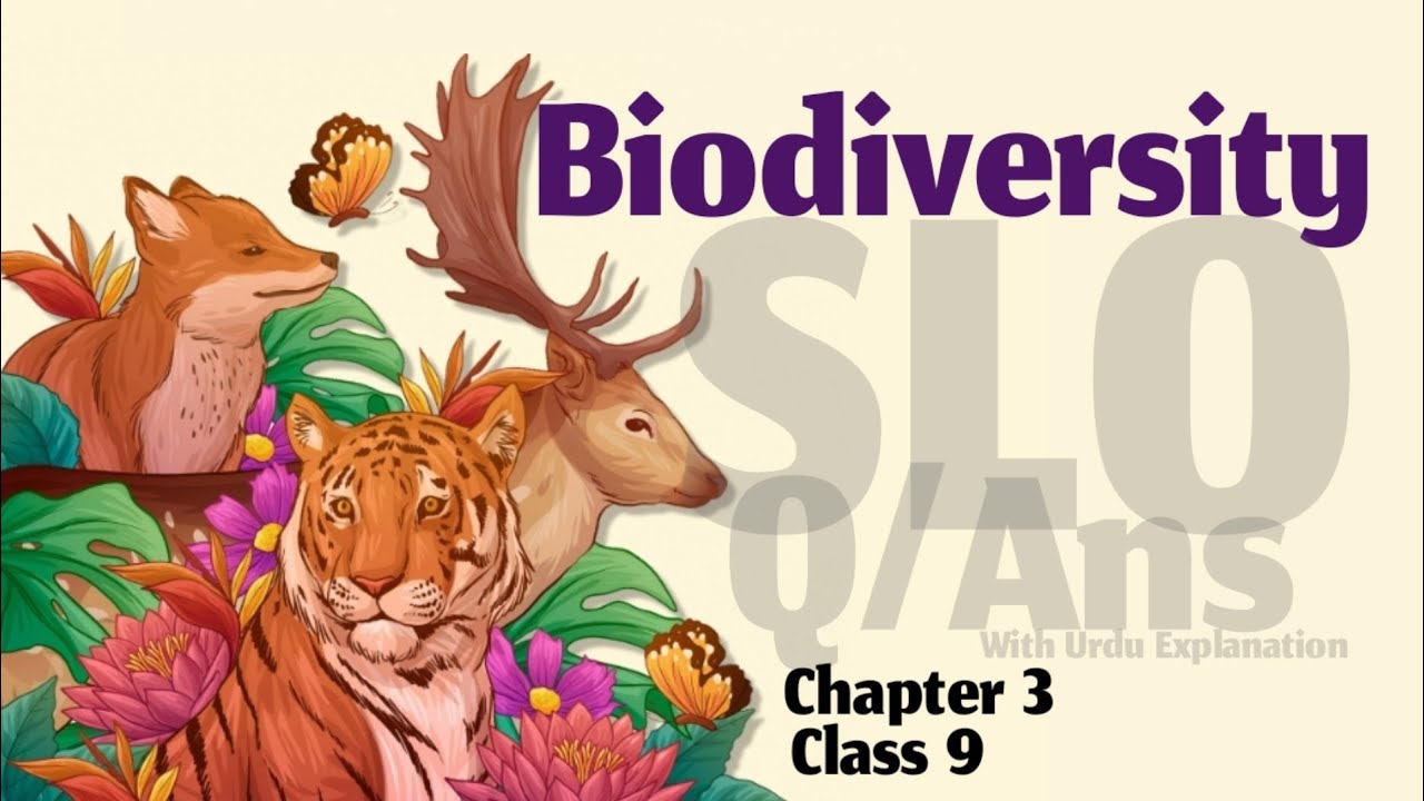 SLO Question Answers of Chapter 3, Biodiversity, Class 9, Biology - YouTube