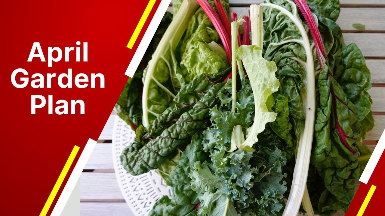 April Gardening in Florida: Top 15 Vegetables to Plant NOW - YouTube