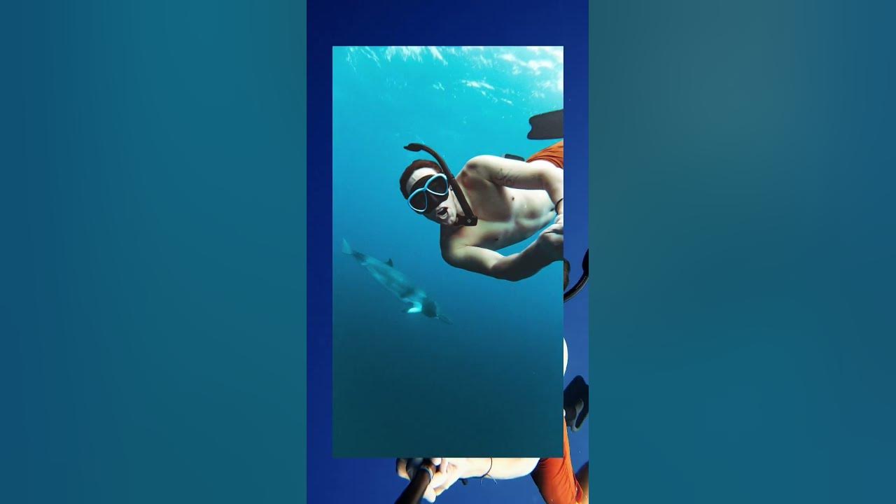 Best Gopro Selfie Shortsfeed Youtube