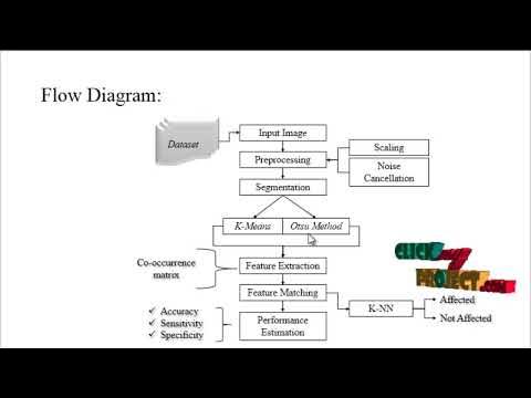 Matlab Image Processing Projects - Bacterial Foraging Optimization - ClickMyProject - YouTube