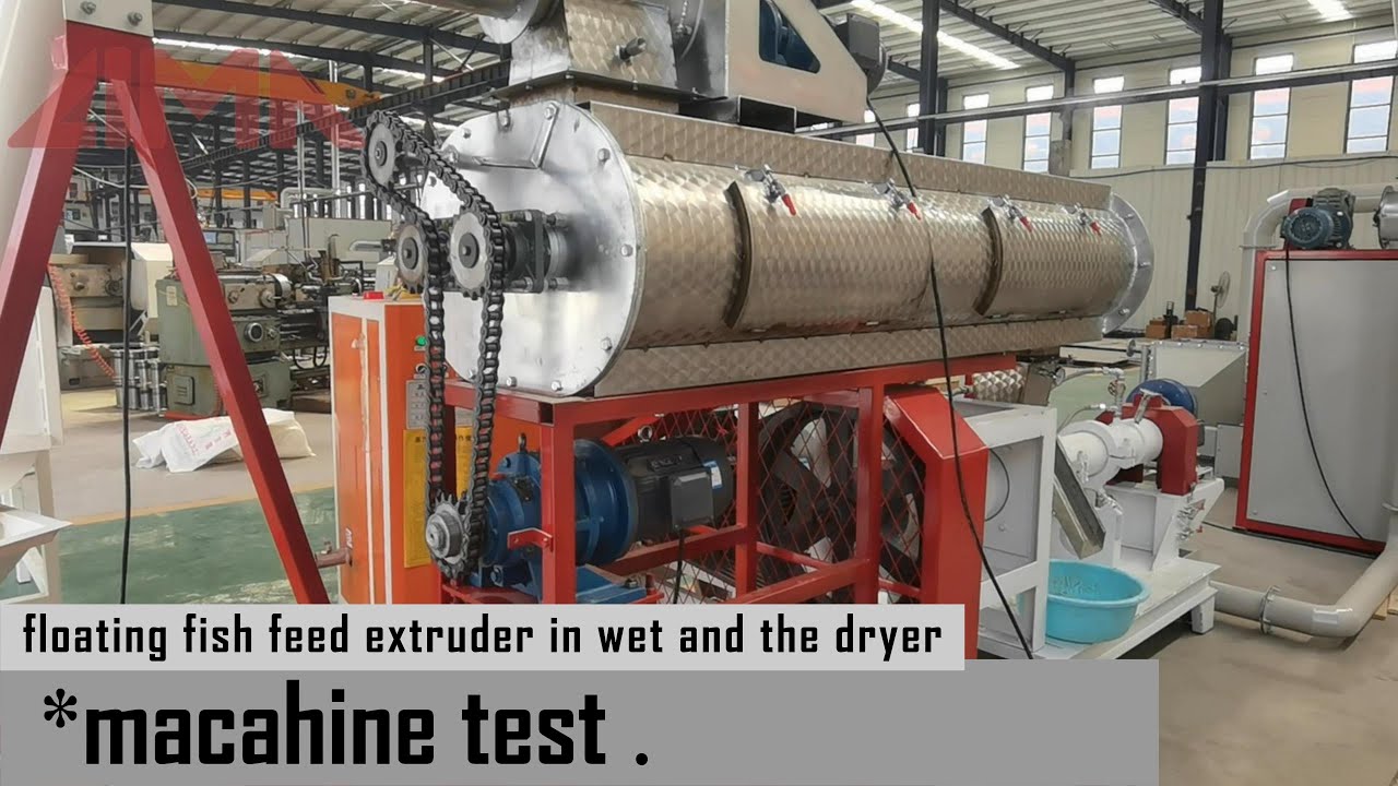 Machine test:Floating fish feed extruder and the dryer#fishfeedmachine ...