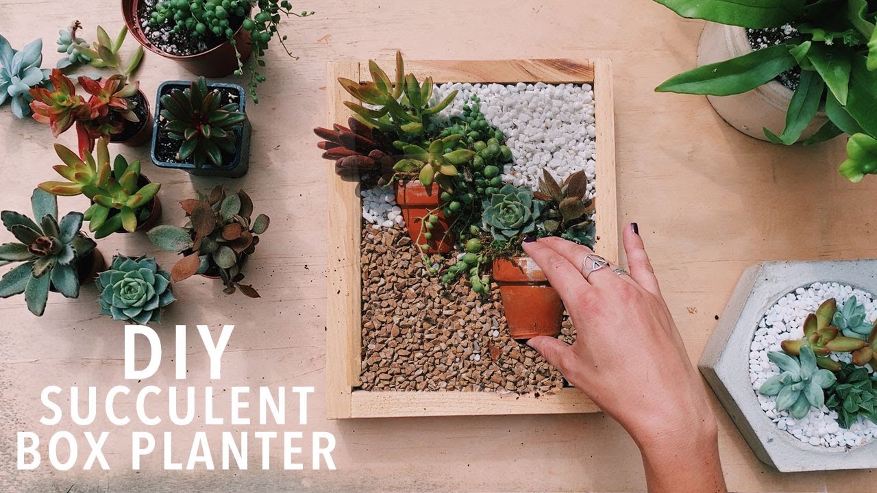 DIY Succulent Box Planter // Pot in a Pot planter - YouTube