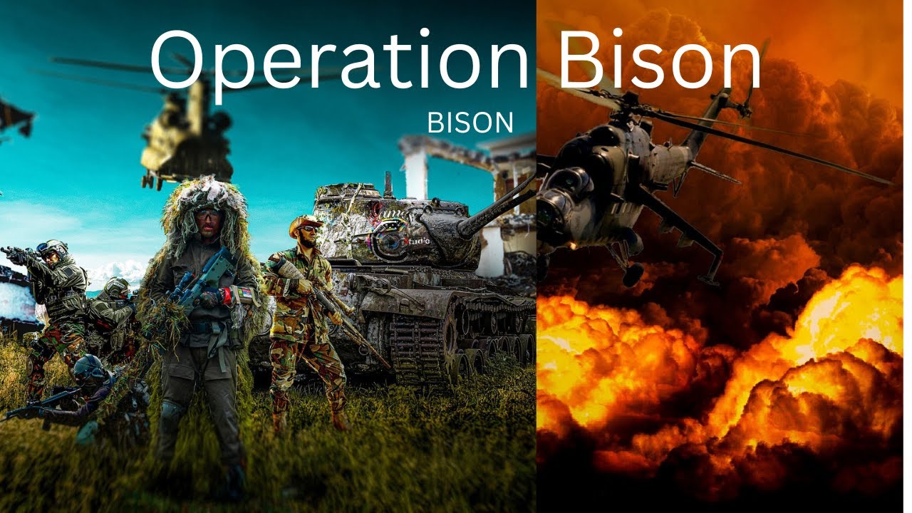Operation Bison. Full analysis - YouTube