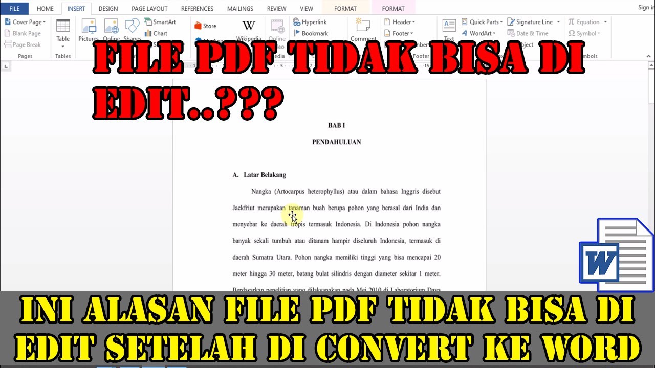 INILAH MENGAPA FILE PDF TIDAK BISA DI EDIT SETELAH DI CONVERT KE WORD - YouTube