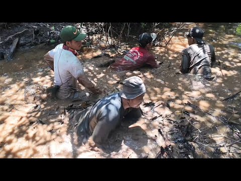 KEMBALI MENANGKAP IKAN DENGAN TANGAN KOSONG SAAT KEMARAU 