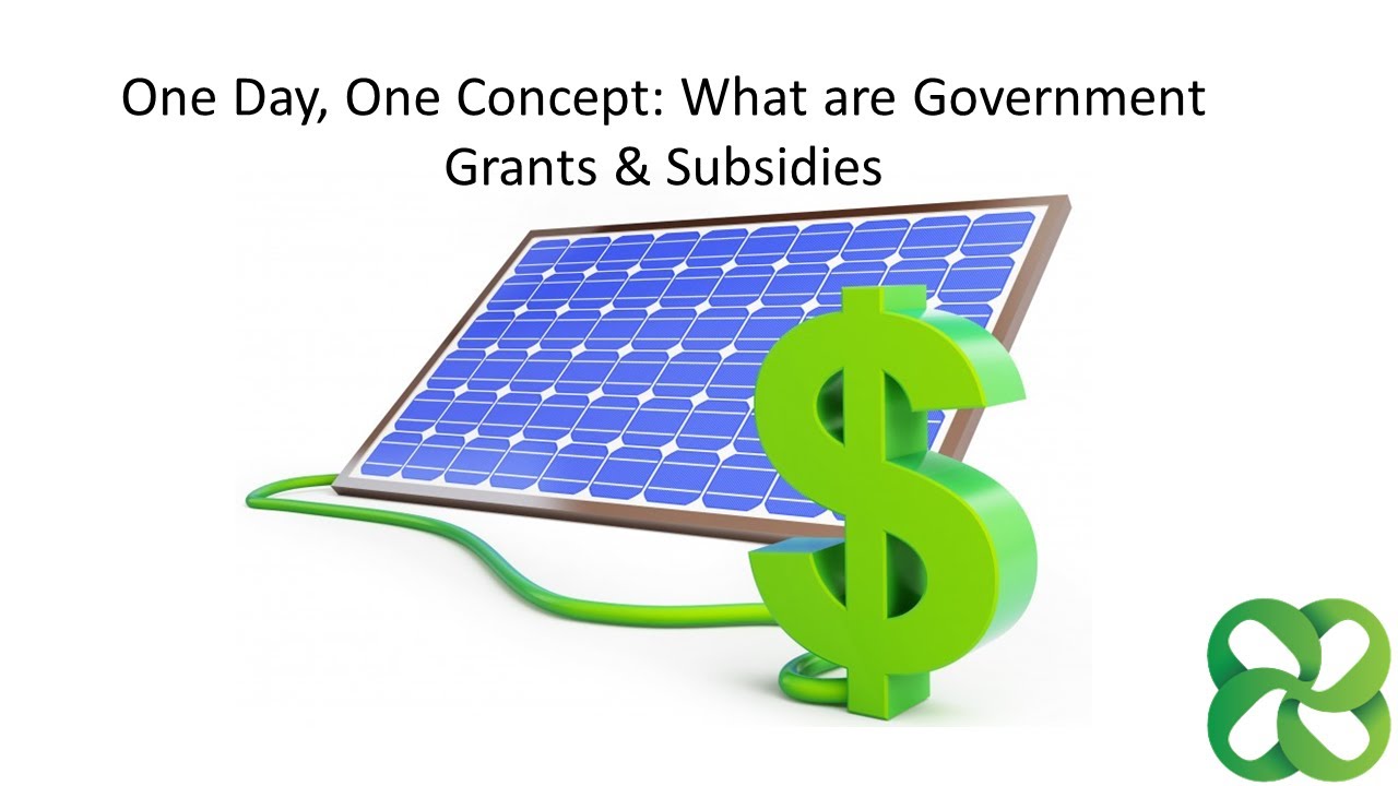 One Day, One Concept: What are Government Grants & Subsidies? - YouTube