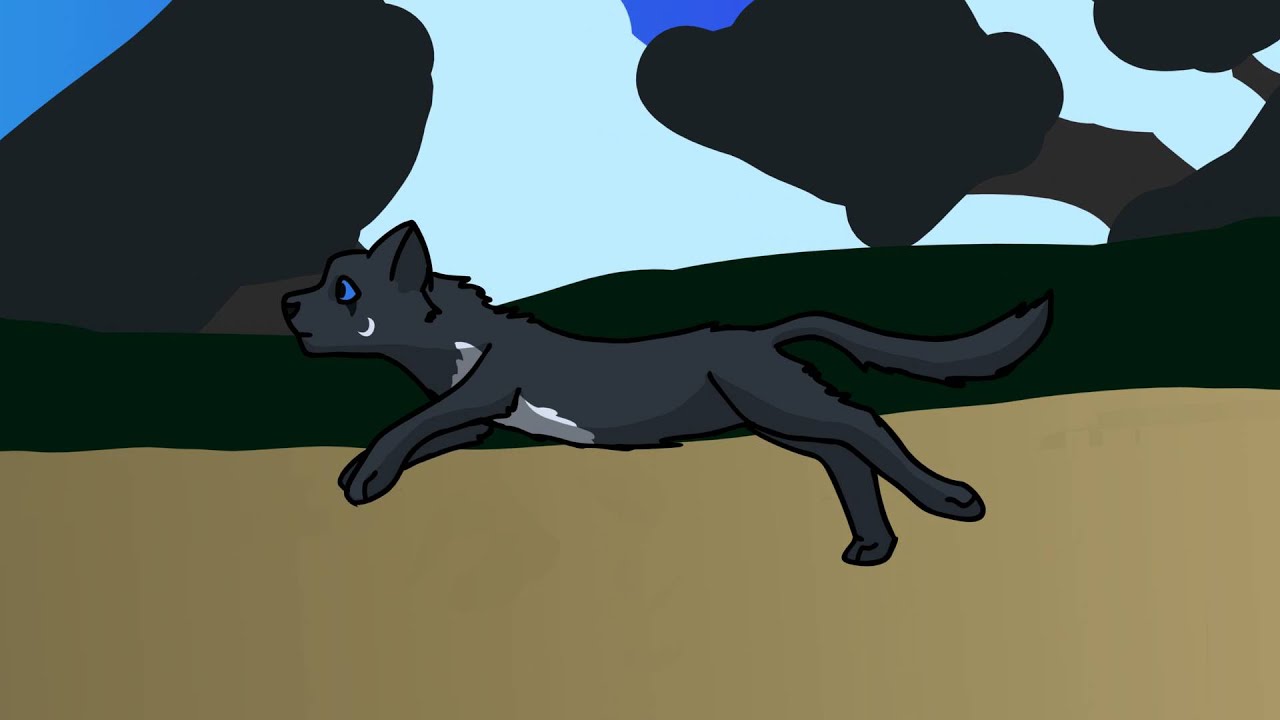 Cat run cycle - YouTube