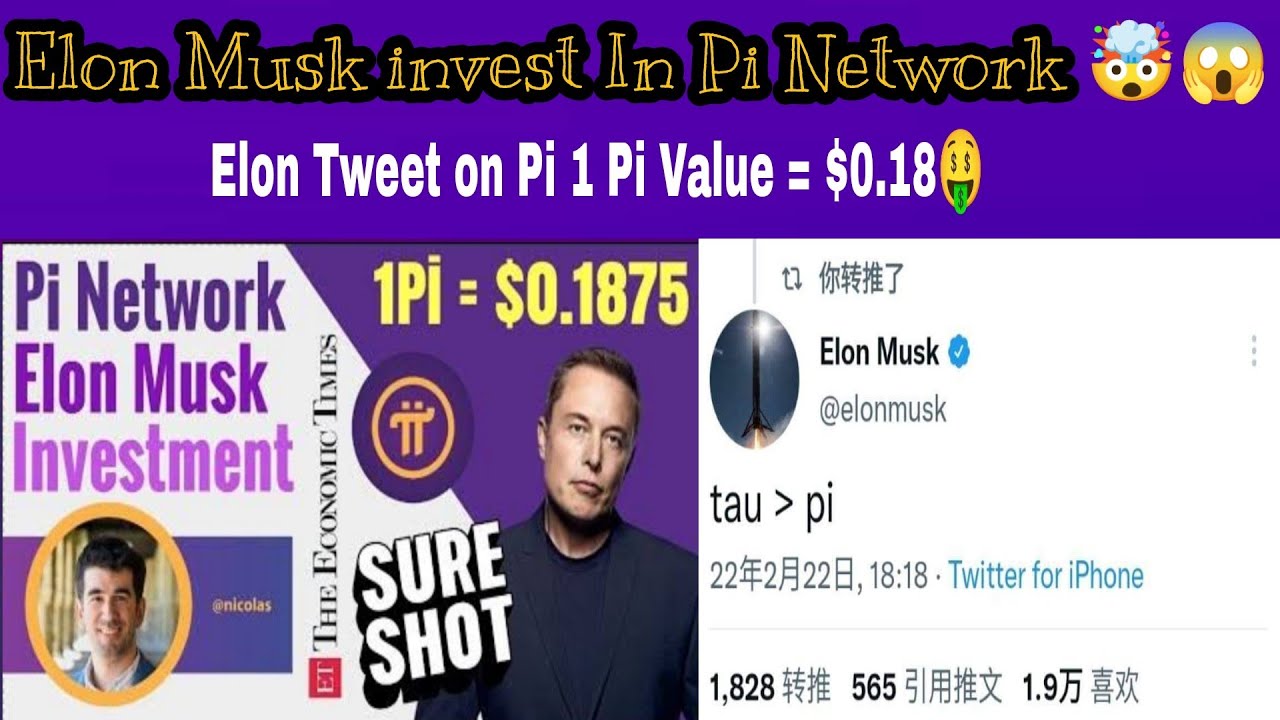 Elon Musk Invest in Pi Network Coin 🤯😱 | Elon Musk tweet about Pi ...