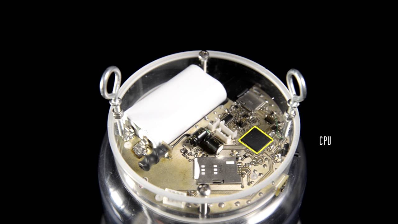 Fruit fly! Welcome to the Electronic McPhail trap. ENTOMATIC-FP7-EUROPE ...