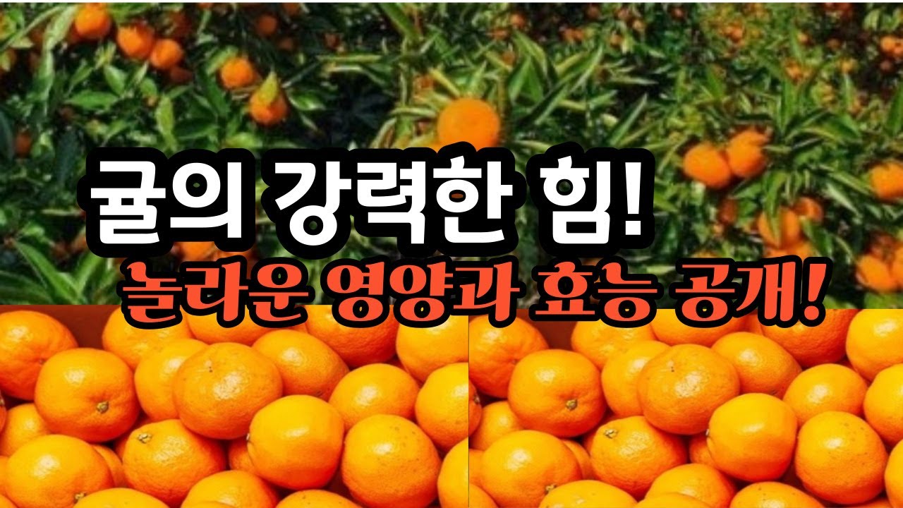 귤의 강력한 힘! & 놀라운 영양과 효능 공개! / The powerful power of tangerines! - YouTube
