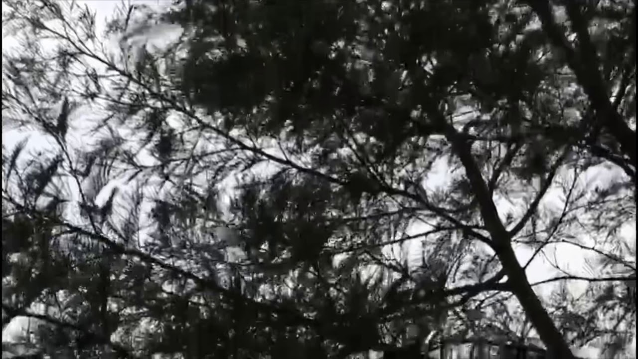 Bitterbossie Estate in the magaliesberg of South Africa - YouTube