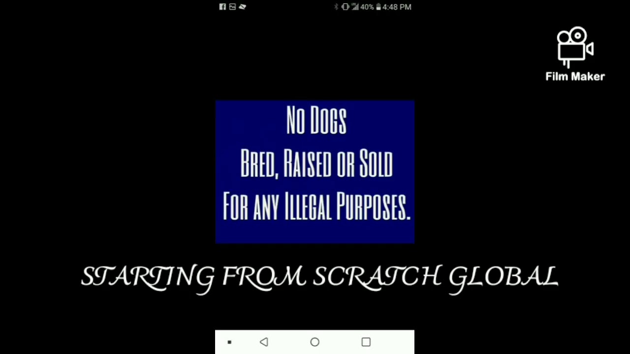 The Real American Pitbull Terrier "Jeep and Red boy cross"#APBT Global ...