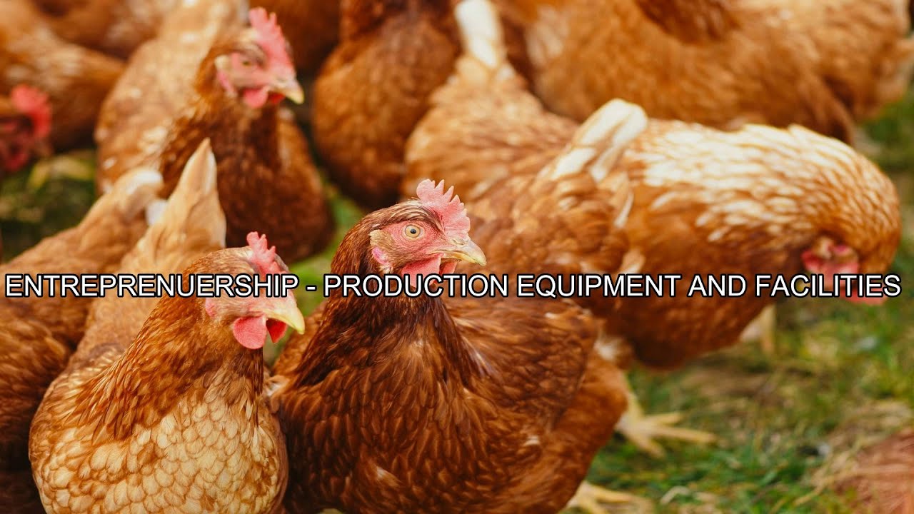 ENTREPRENUERSHIP - PRODUCTION EQUIPMENT AND FACILITIES - YouTube