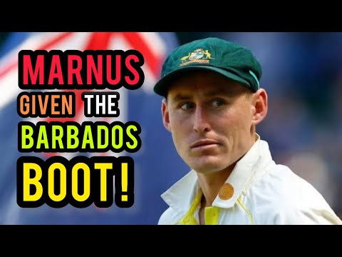 George Bailey Finally Reacts As Marnus Labuschagne Gets The Barbados ...
