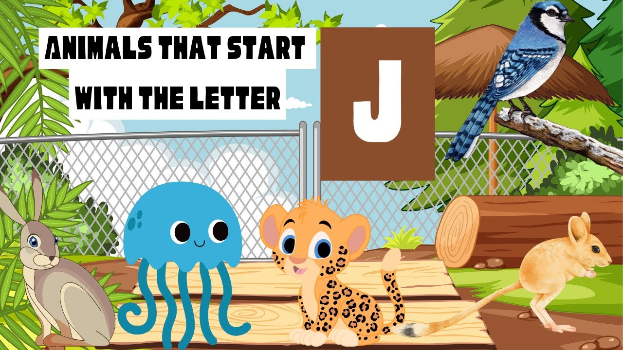 Jungle Jamboree: 5 Jaw-Dropping Animals That Start with the Letter J ...