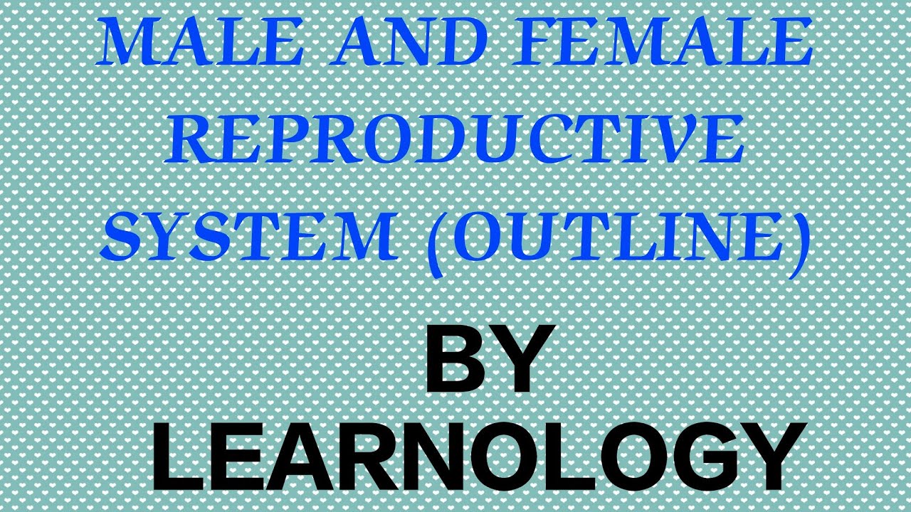 🔥MALE AND FEMALE REPRODUCTIVE SYSTEM (Outline) 🔥🔥 All important Organs ...
