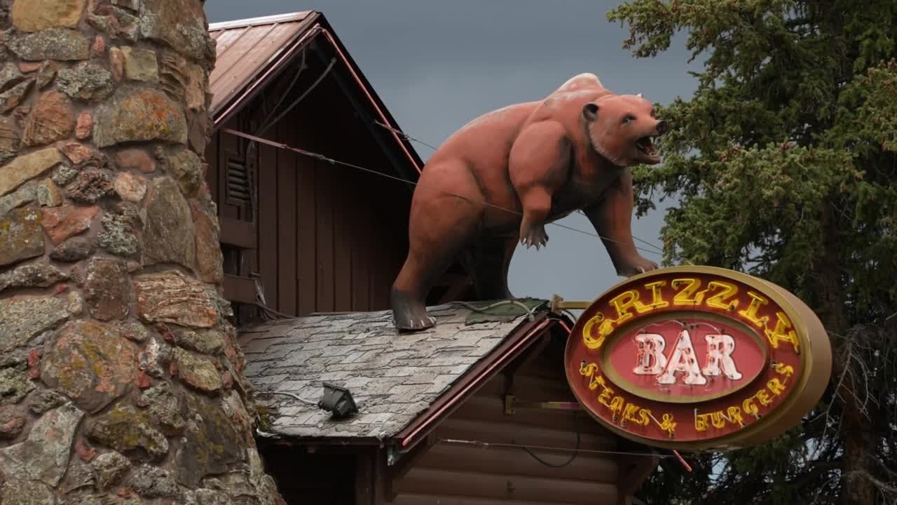 'Where the hell is Roscoe?': Grizzly bar welcoming guests for nearly ...