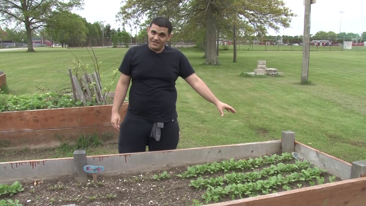 Agriculture Club Tour - New Bedford High School - YouTube