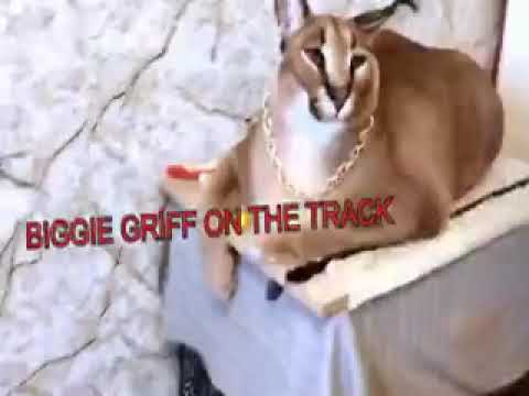 big floppa friday rap 🔥🔥🚒 - YouTube