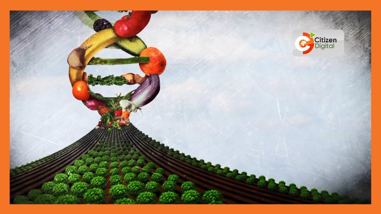 Three laws governing policy, implementation of GMOs - YouTube