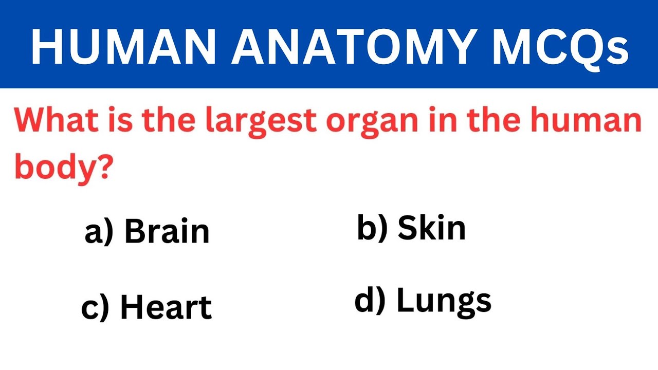 Human Anatomy MCQs | Multiple Choice questions for Medical, Government ...